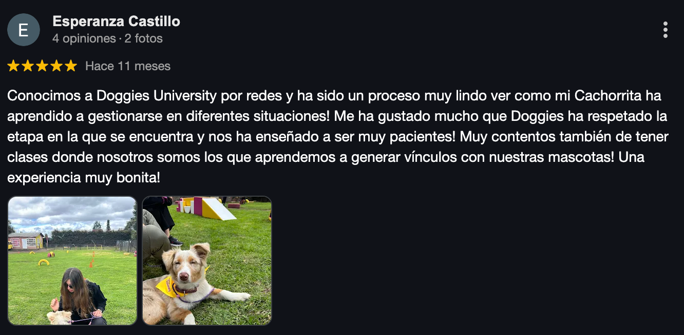 DoggiesUniversity – Recreación y adiestramiento canino