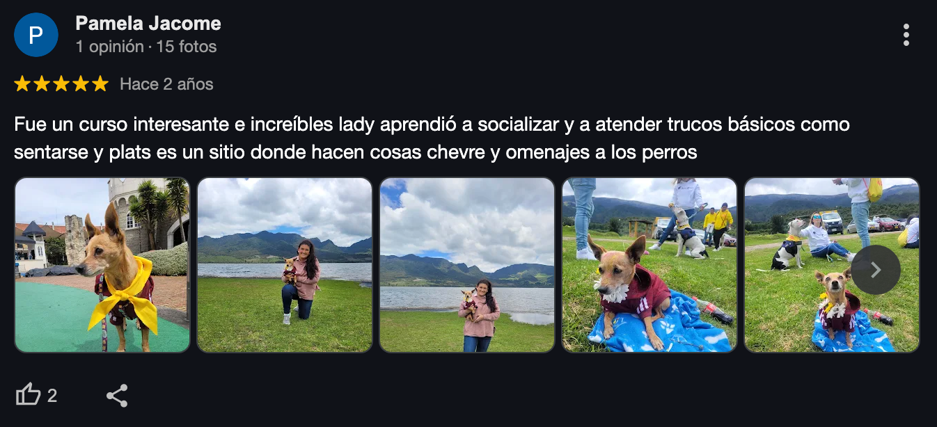 DoggiesUniversity – Recreación y adiestramiento canino