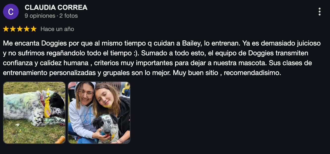 DoggiesUniversity – Recreación y adiestramiento canino